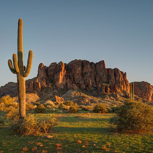 Lost Dutchman State Park