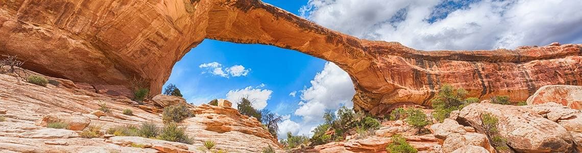 Natural Bridges National Monument