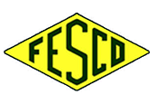 FESCO LTD